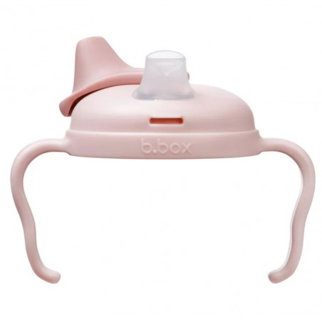 B.Box Spout Cup
